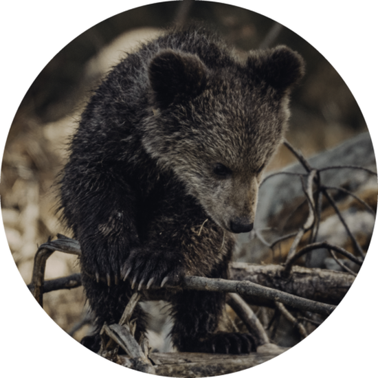 Join us ! ‒ LPL ‐ EPFL