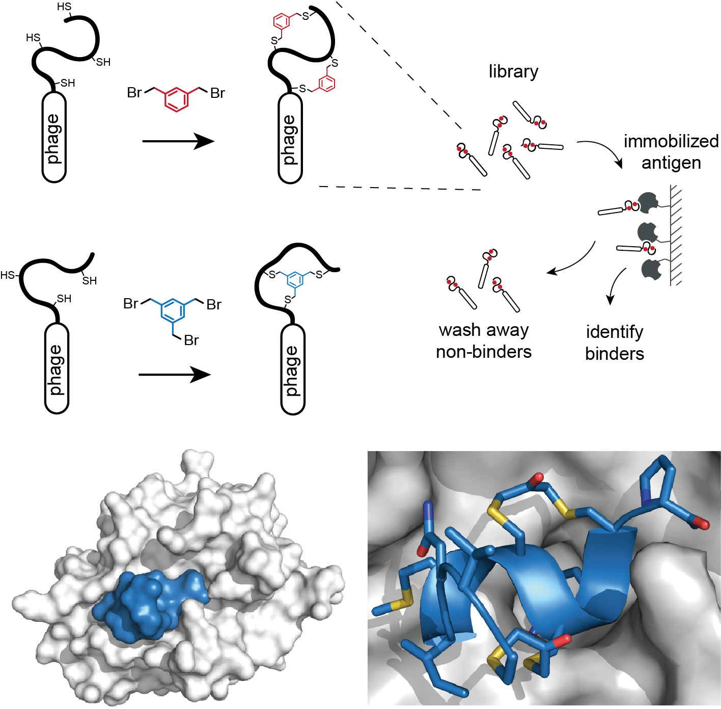 Research ‒ LPPT ‐ EPFL