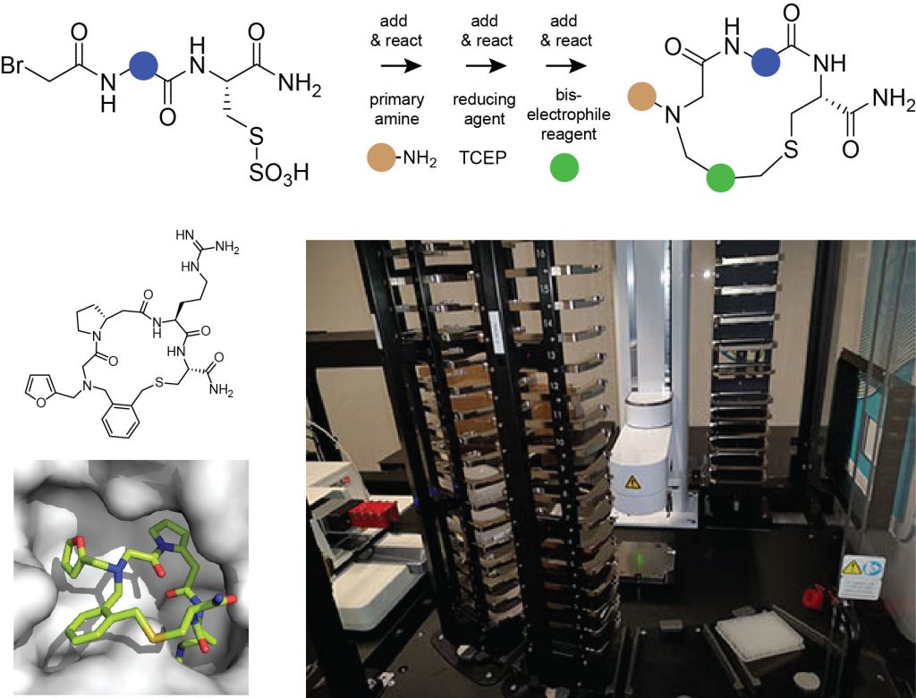 Research ‒ LPPT ‐ EPFL