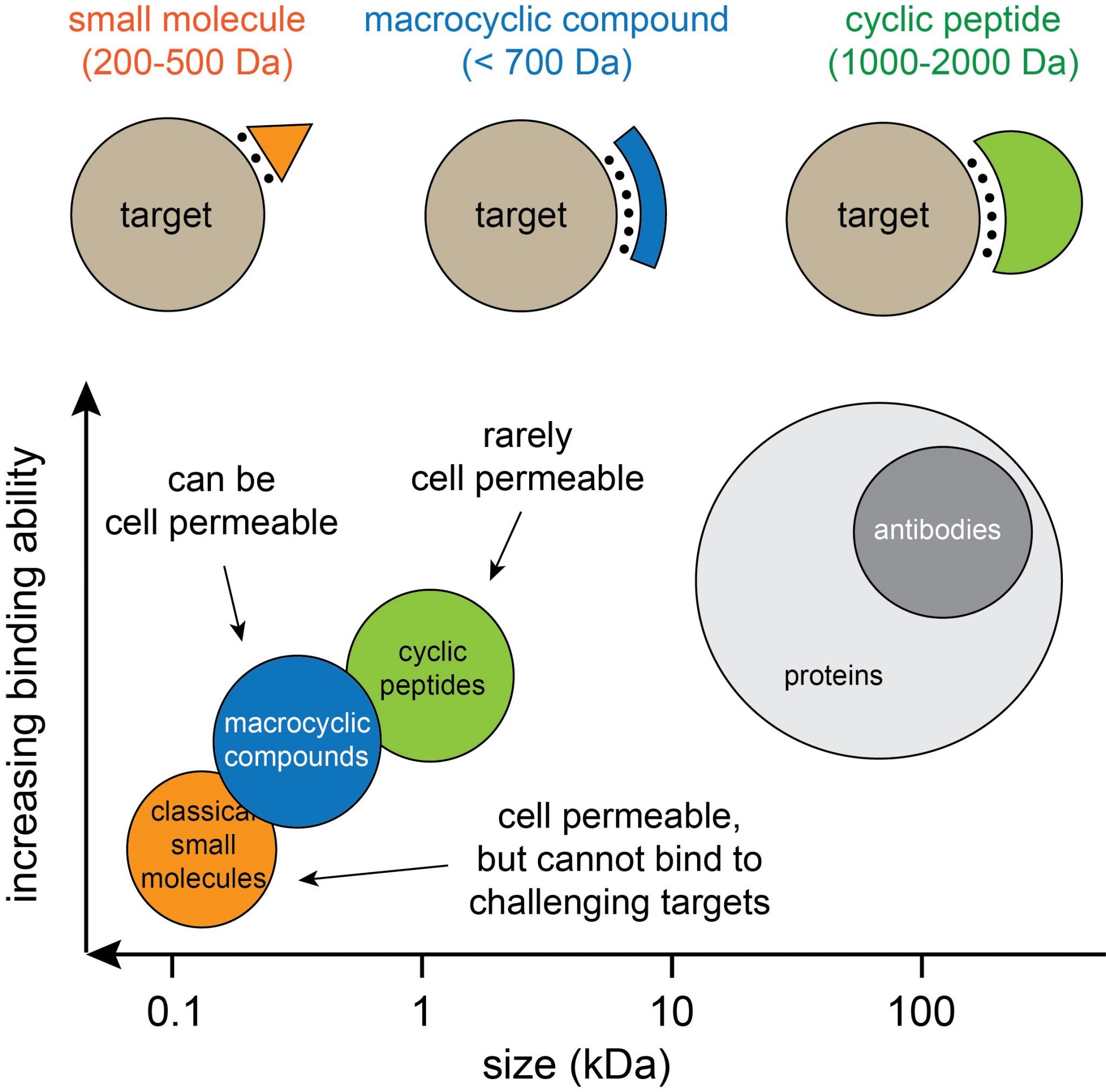 Research ‒ LPPT ‐ EPFL