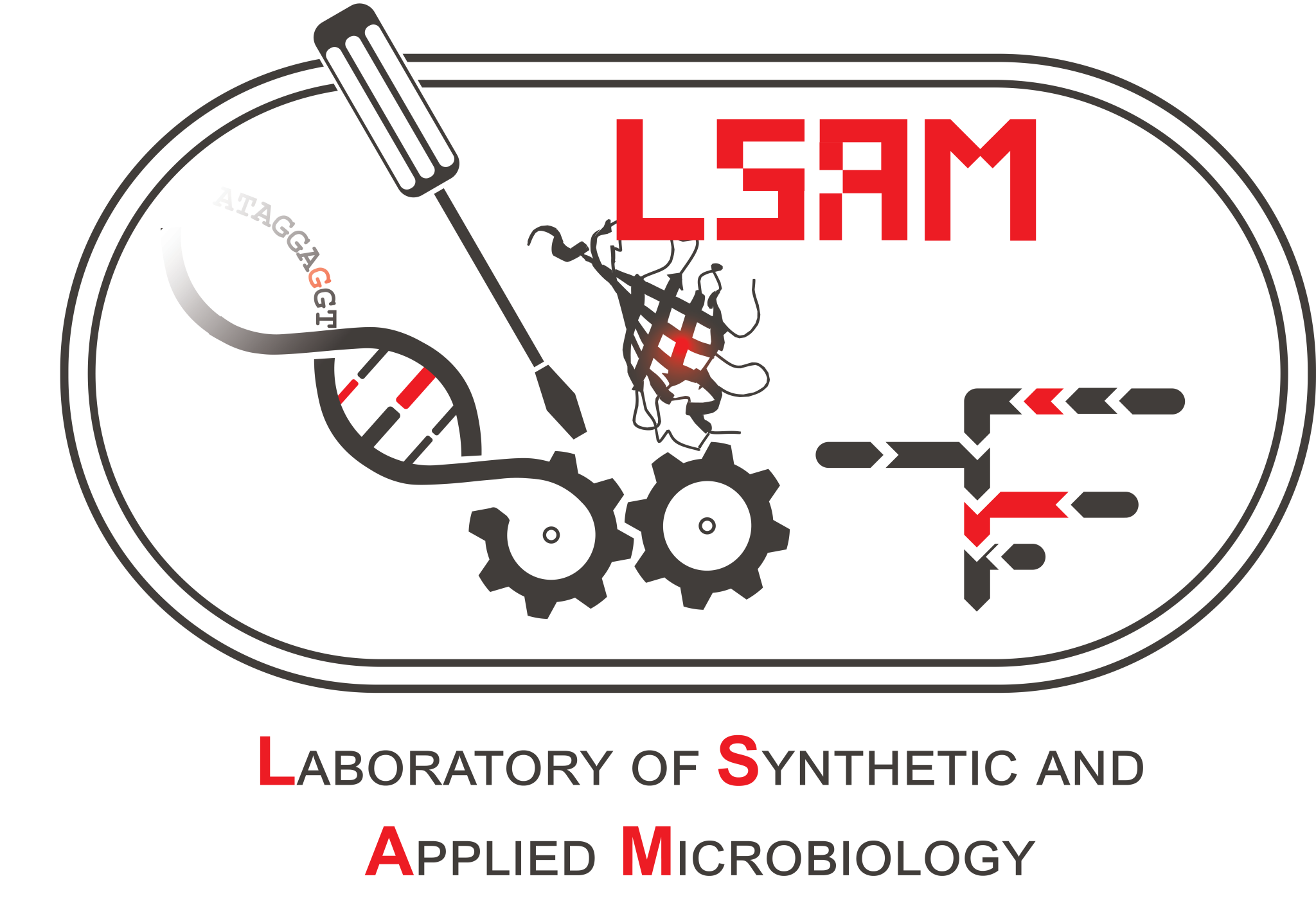 Laboratory of Synthetic and Applied Microbiology (SB/SV) ‐ EPFL