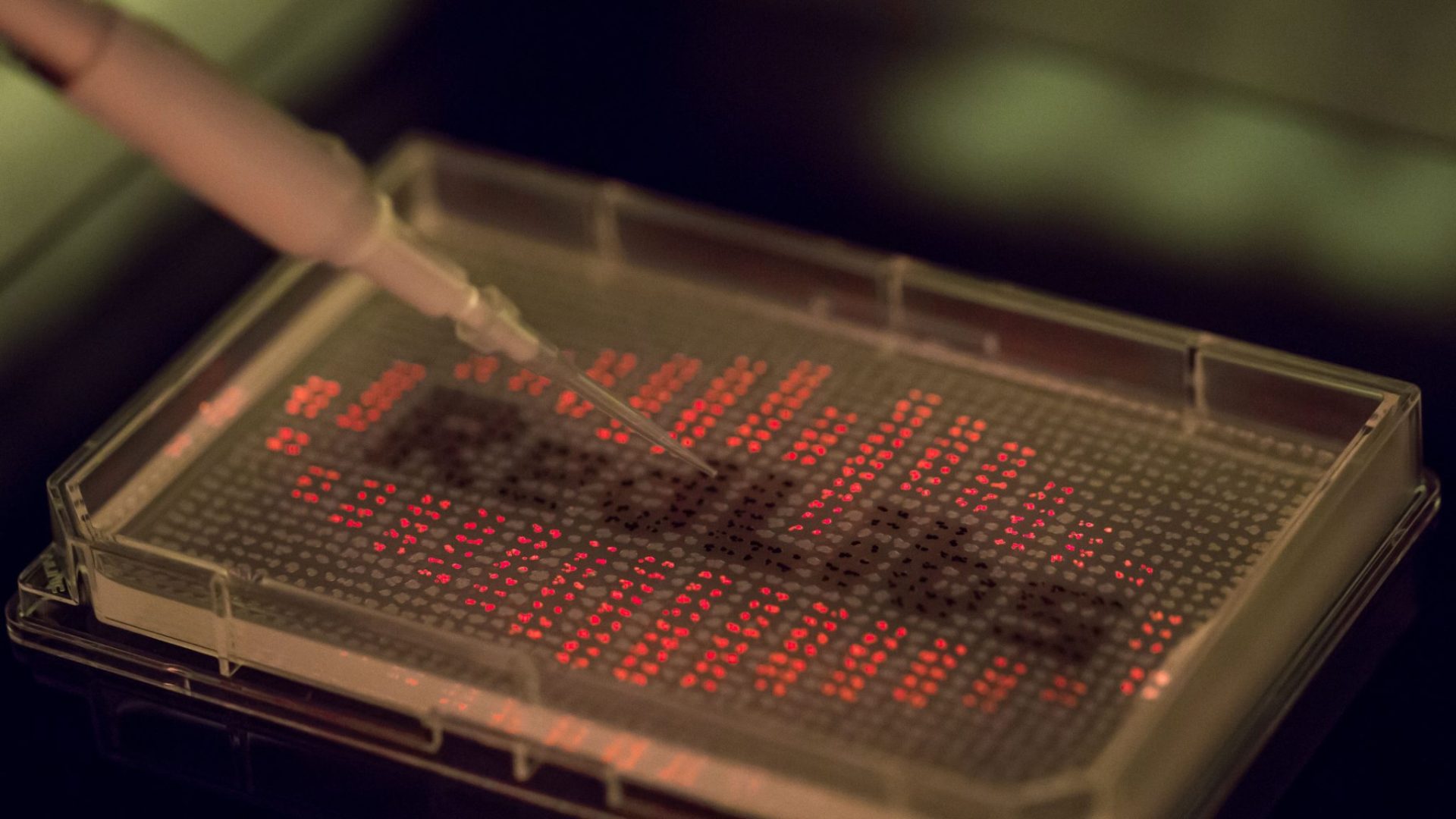 Laboratory of Synthetic and Applied Microbiology (SB/SV) ‐ EPFL