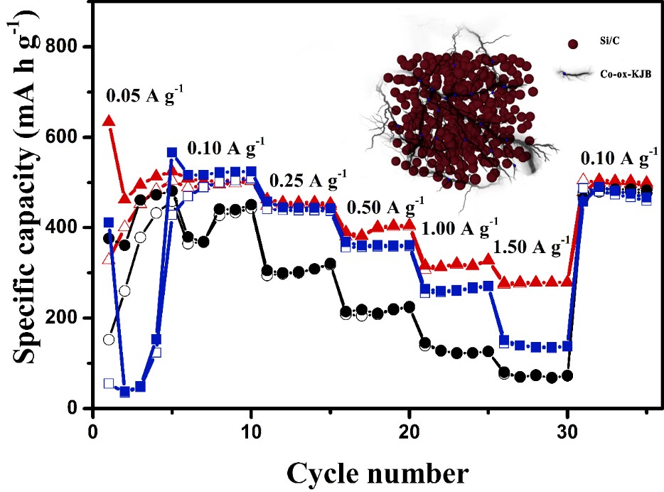 Publications ‒ LSCI ‐ EPFL