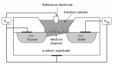 Ion Selective Field Effect Transistor ‒ LSI ‐ EPFL