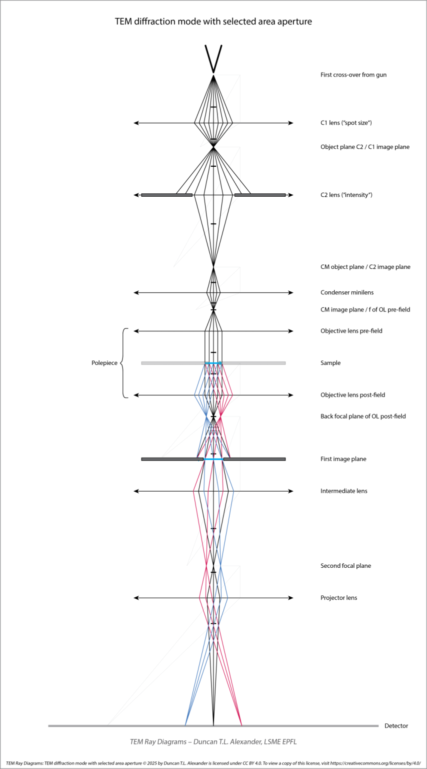 TEM selected area diffraction mode, with two diffracted beams – V1.0 ...
