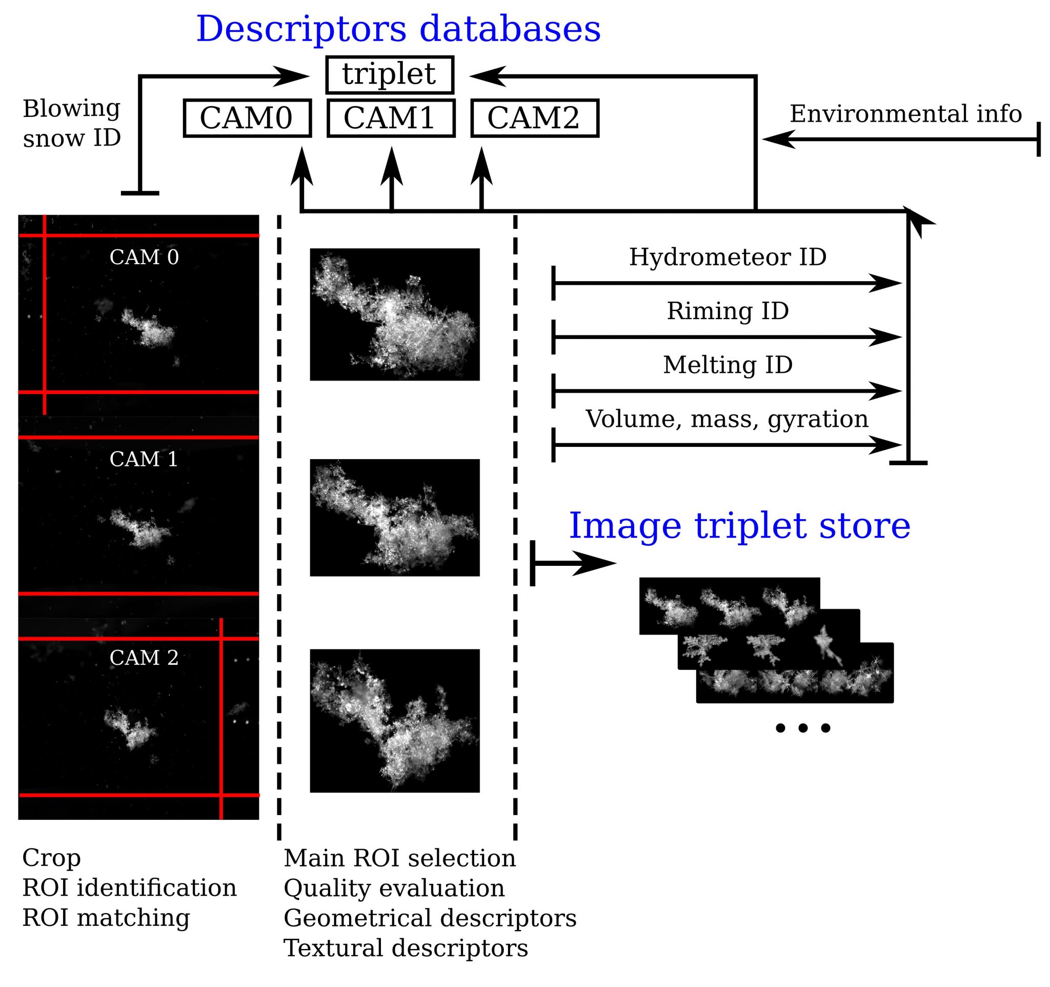 Precipitation microphysics ‒ LTE ‐ EPFL