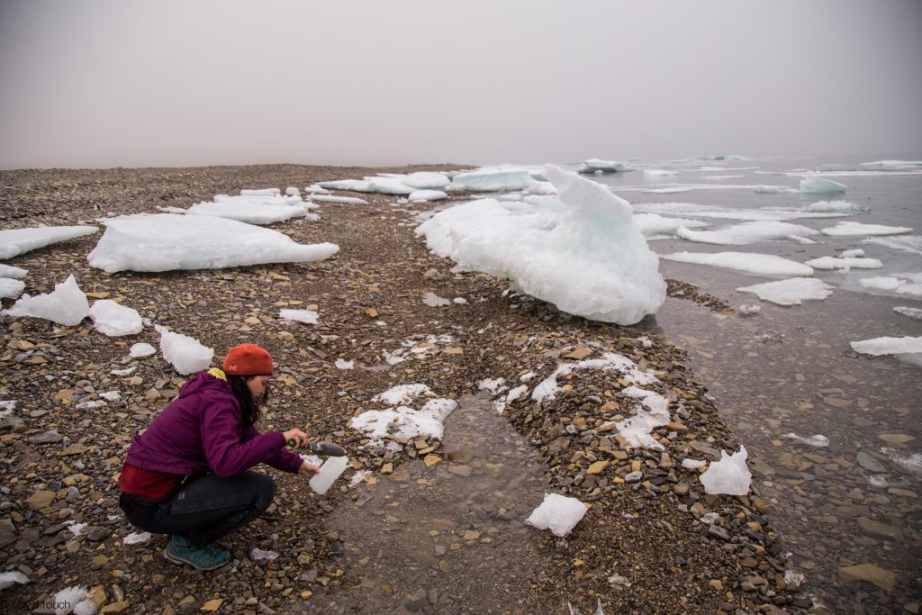 Research ‒ MACE ‐ EPFL