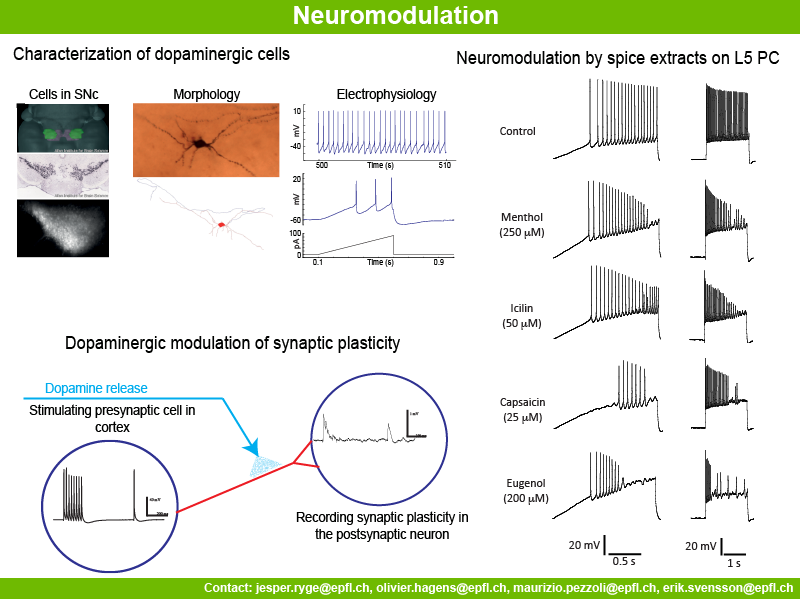 Research – LNMC