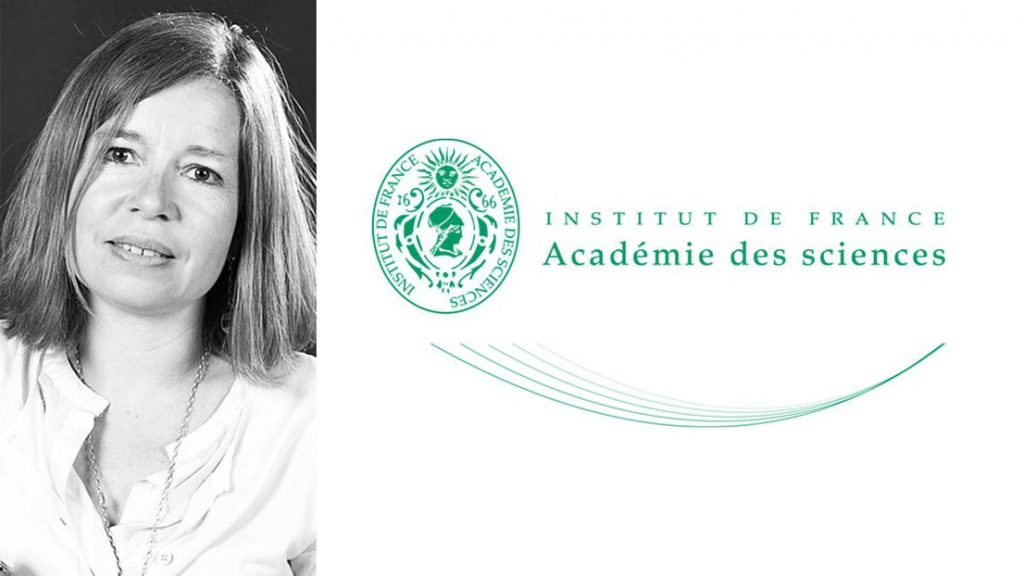 MATHICSE – Group ‐ EPFL