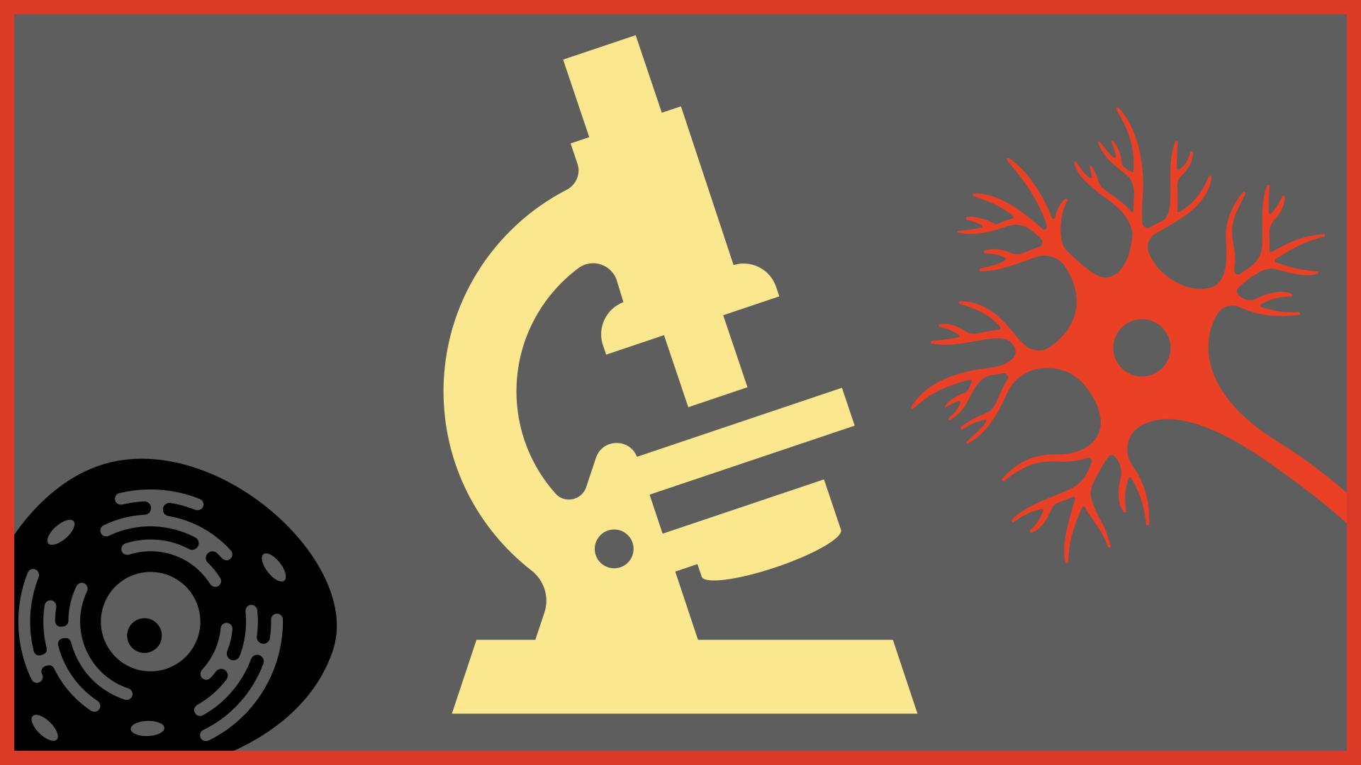 Lab Internal – McCabe Group ‒ UPMCCABE ‐ EPFL