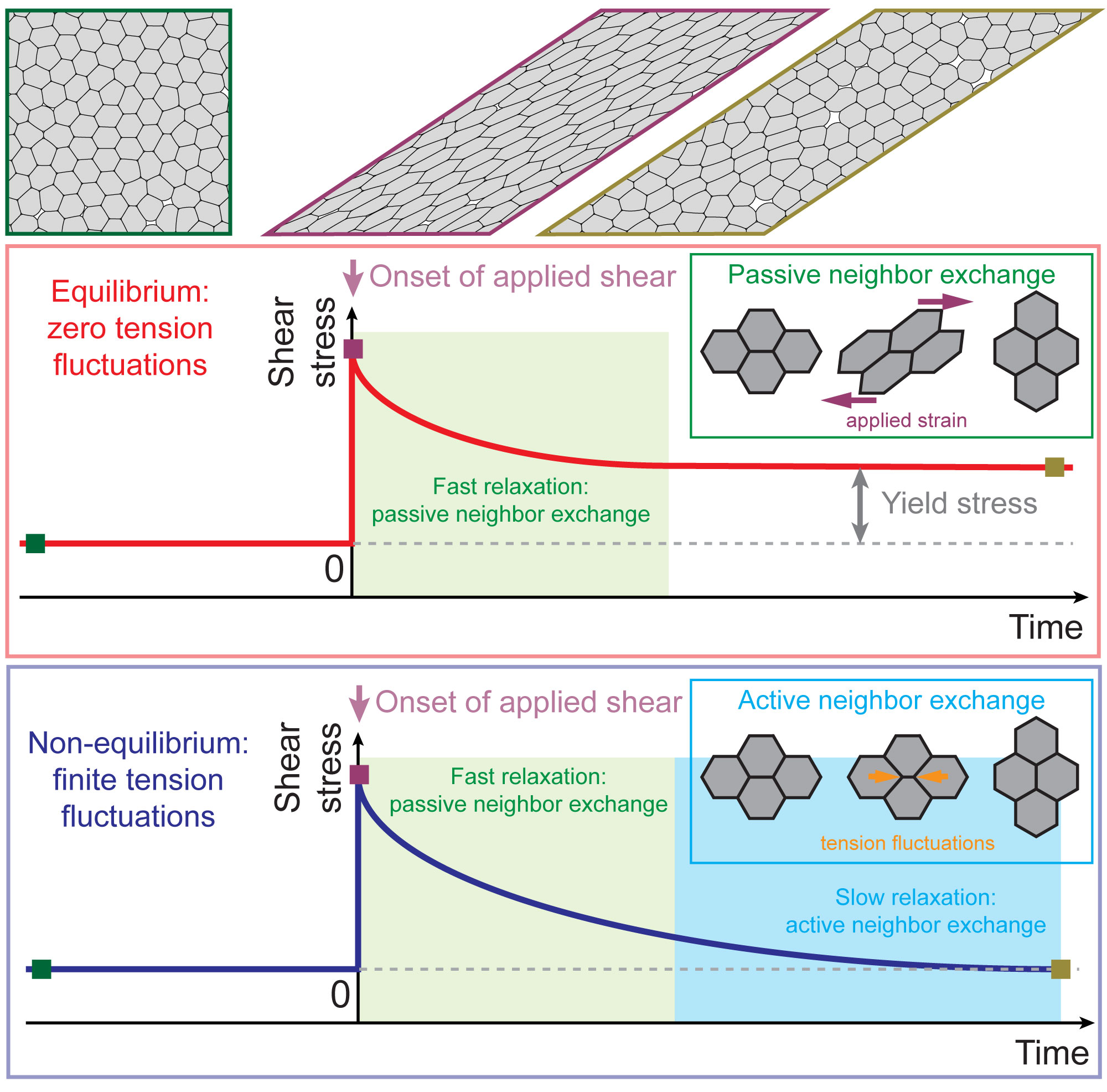 Research ‒ MESOBIO ‐ EPFL