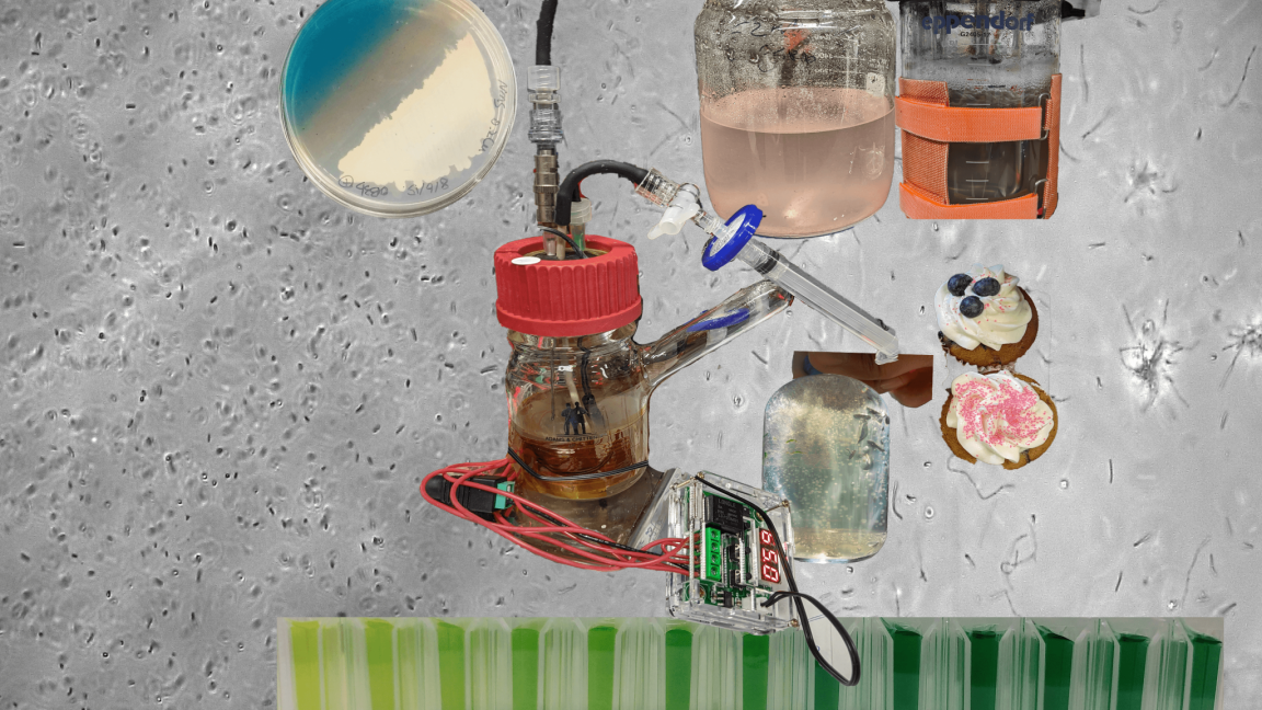 Laboratory of microbial physiology and resource Biorecovery ‐ EPFL
