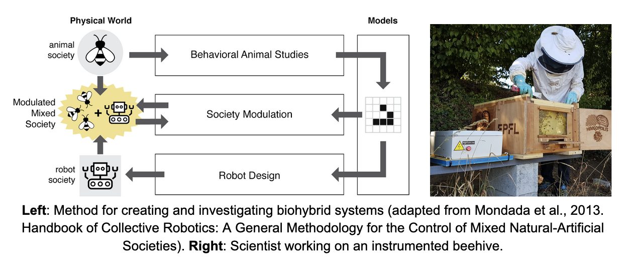 Student’s projects at Mobots/Learnge ‒ mobots ‐ EPFL