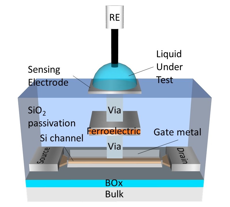 Nanoelectronic Devices Laboratory ‐ EPFL