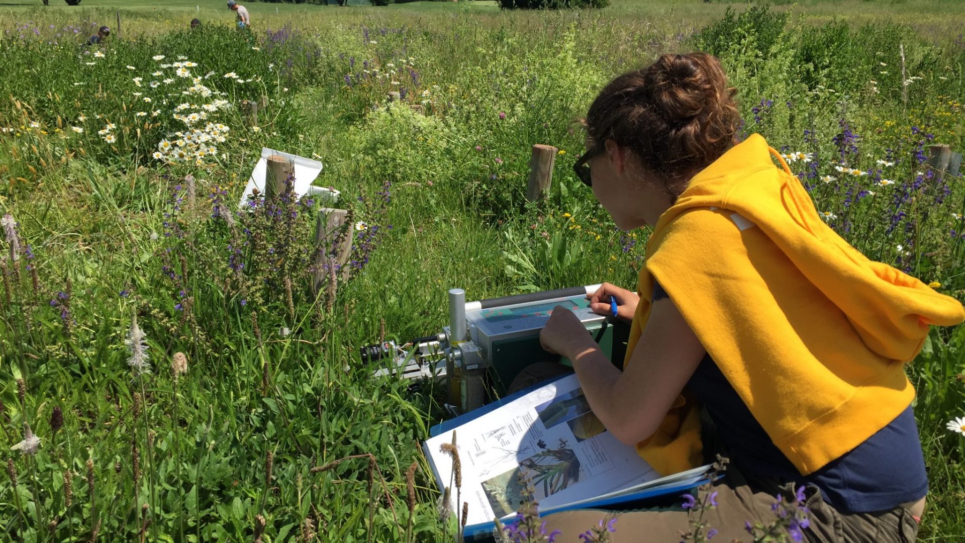 Plant Ecology Research Laboratory ‐ EPFL