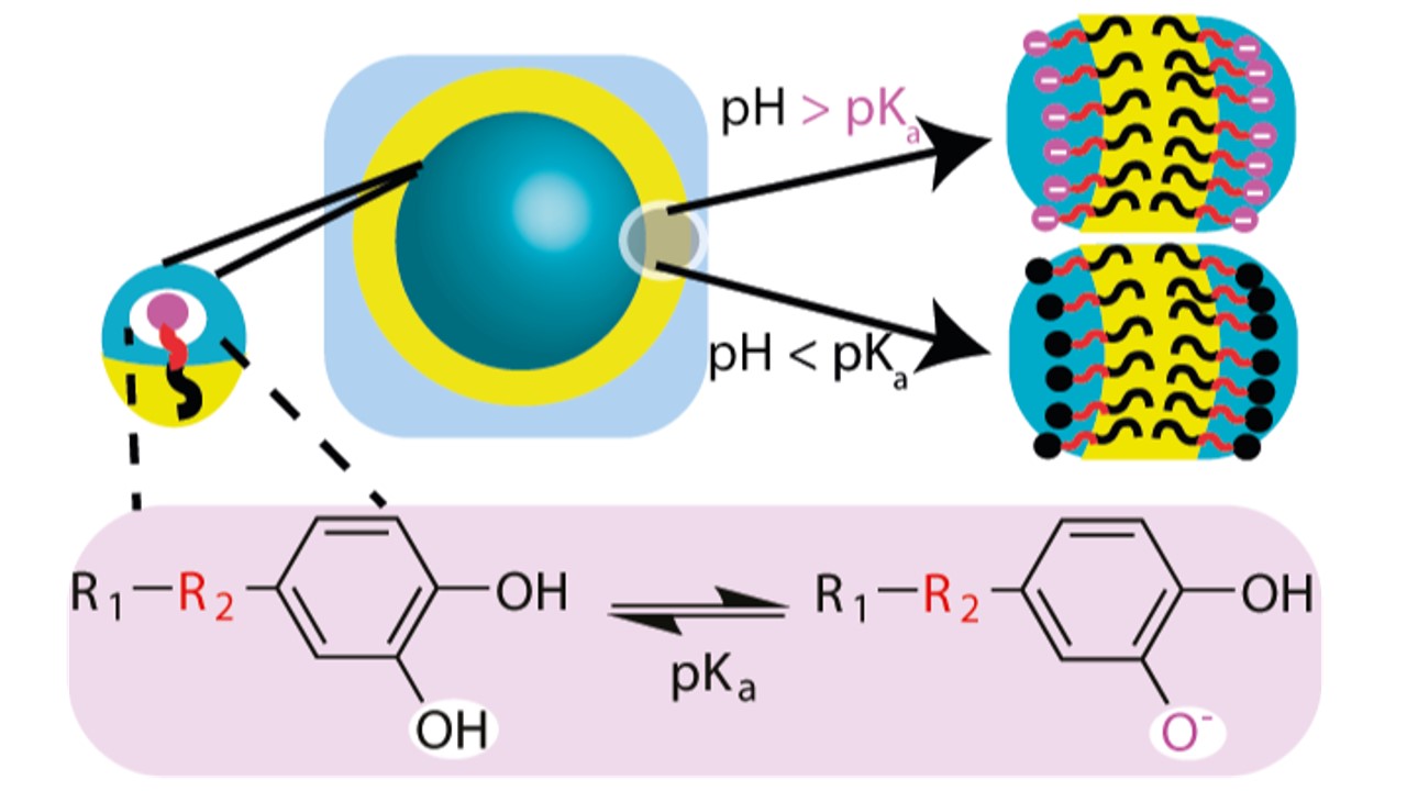 Formation and Stability of Emulsion Drops ‒ SMaL ‐ EPFL