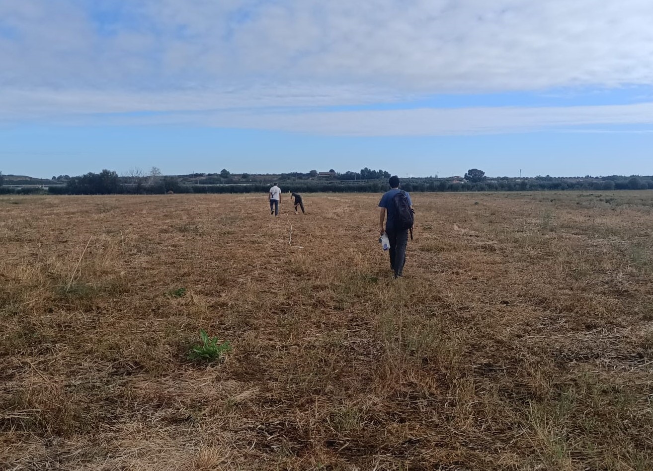 Effects of tillage practices on soil carbon sequestration mechanisms ...