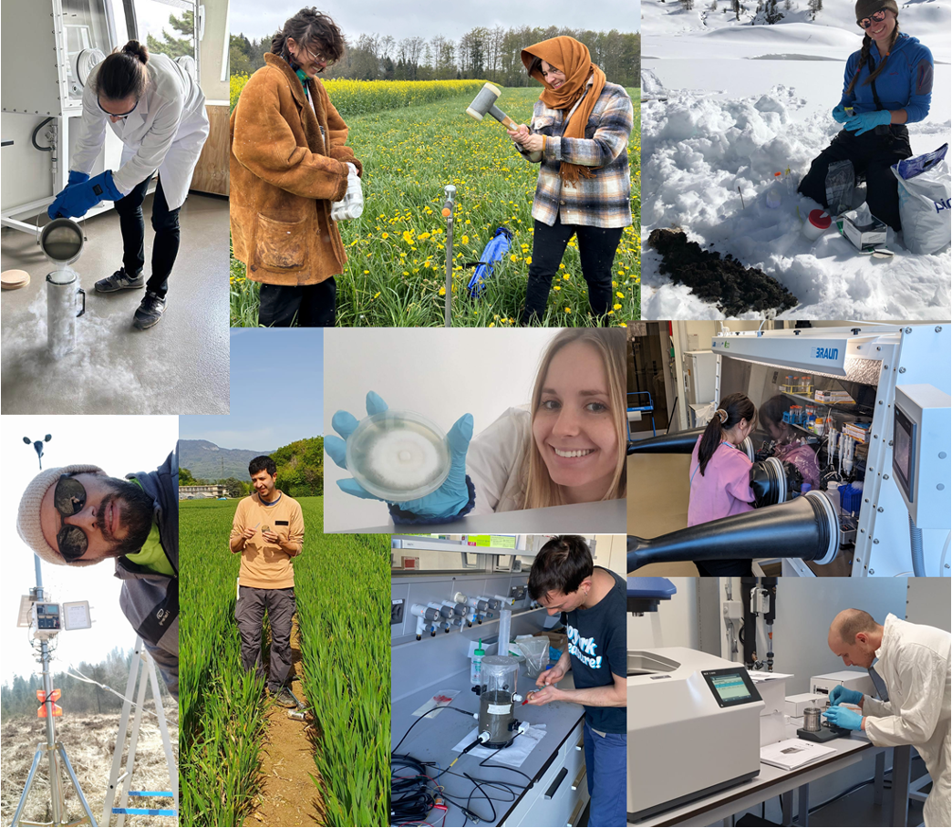 Soil biogeochemistry laboratory ‐ EPFL