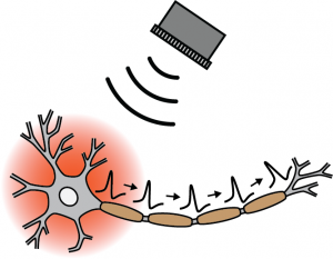 Ultrasound Neuromodulation ‒ TNE ‐ EPFL