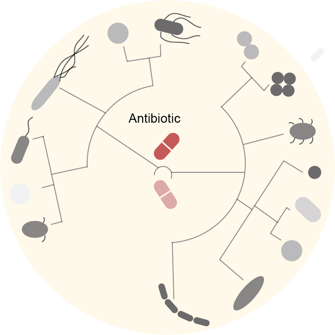 Research ‒ UPGOEMANS ‐ EPFL