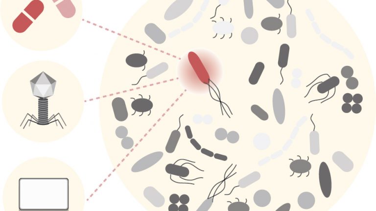 Goemans Lab of Drug-microbiota Interactions ‐ EPFL