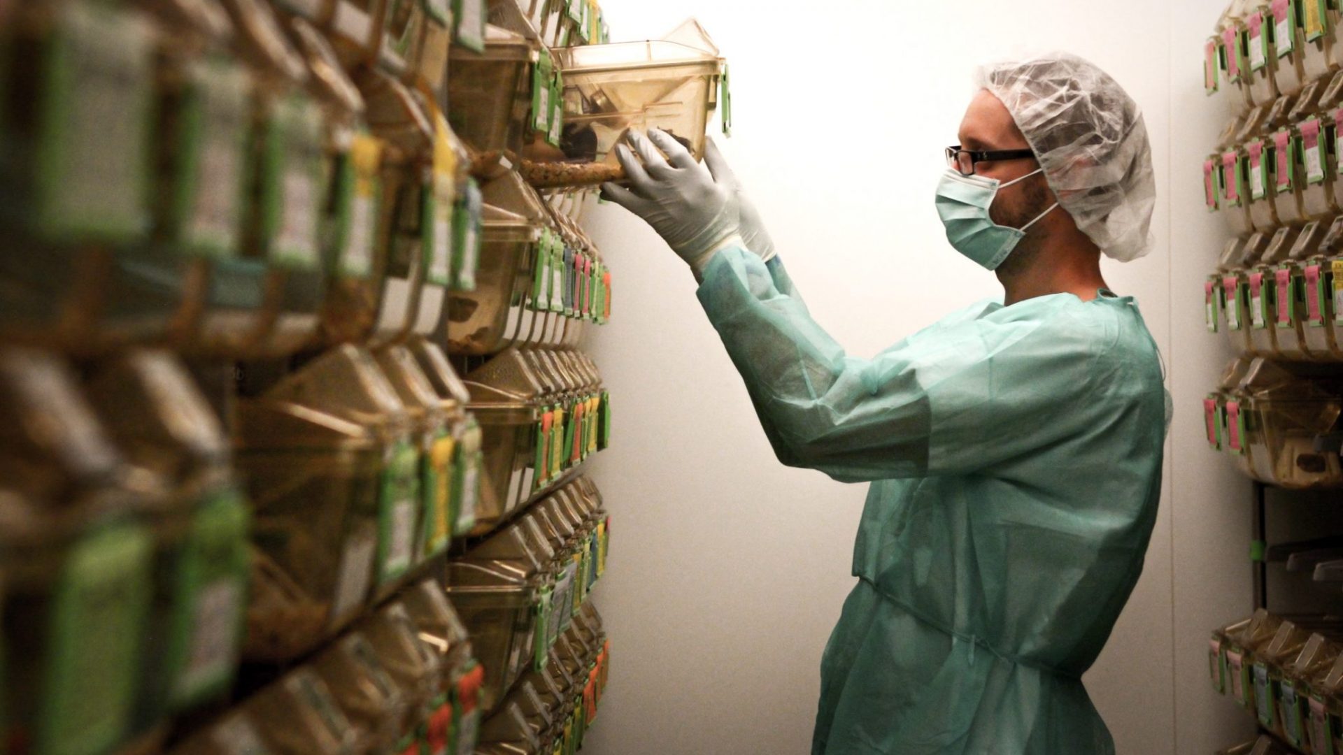 Animal Research Ethics Committee (AREC) ‒ Research ethics ‐ EPFL