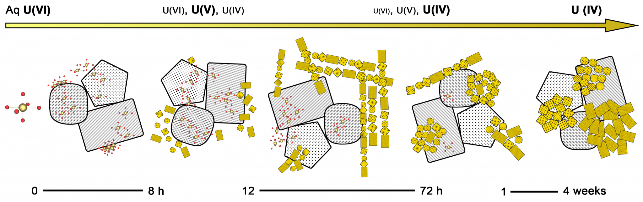 Uranium reveals its true nature ‒ CIME ‐ EPFL