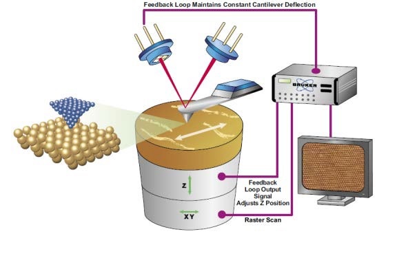 Bruker FastScan AFM ‒ Center of MicroNanoTechnology CMi ‐ EPFL