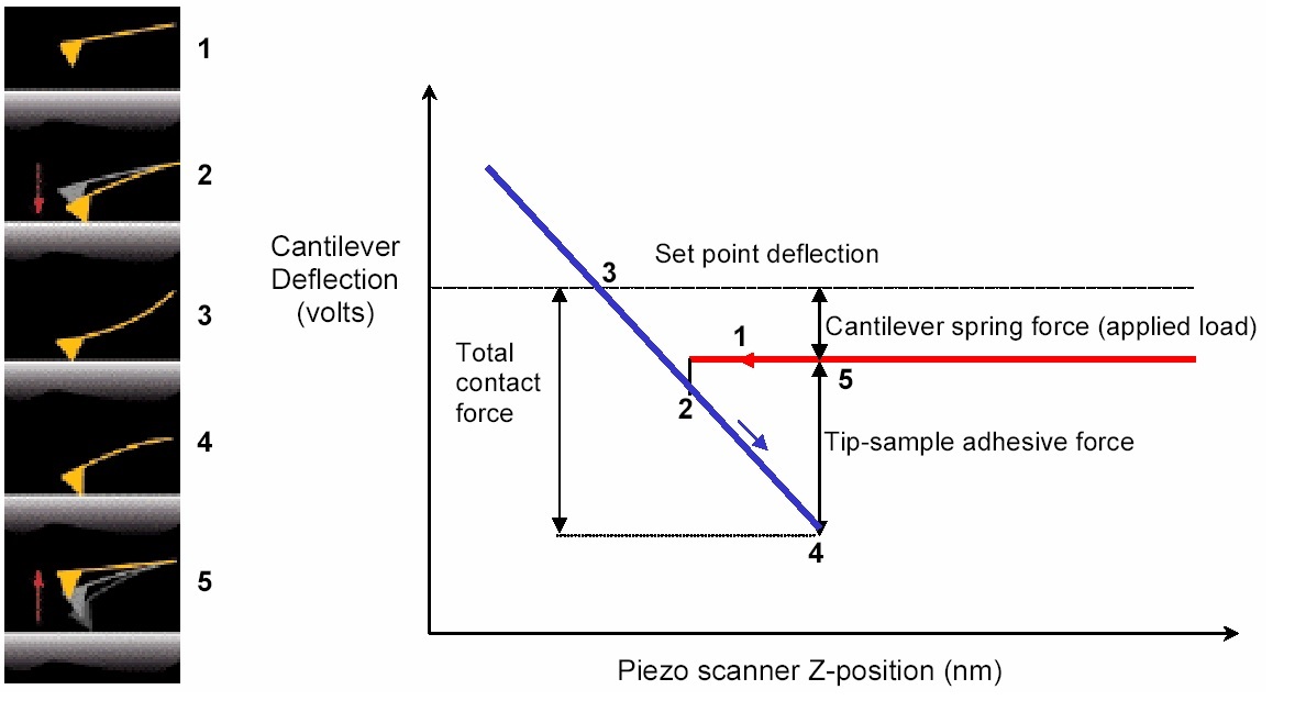 Bruker FastScan AFM ‒ Center of MicroNanoTechnology CMi ‐ EPFL