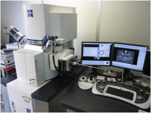 Zeiss MERLIN ‒ Center of MicroNanoTechnology CMi ‐ EPFL
