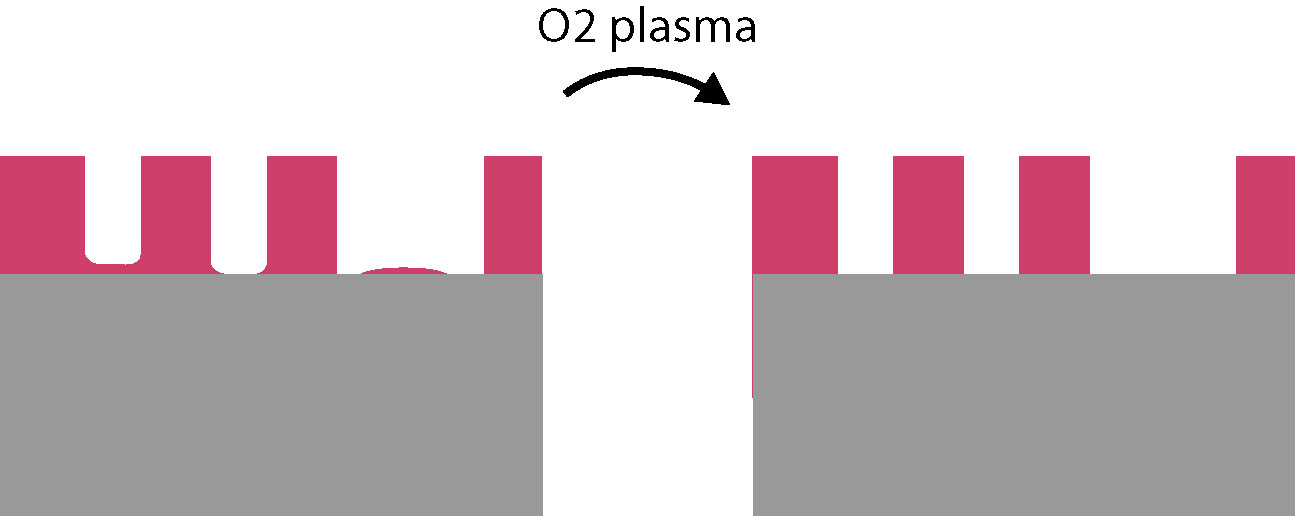 Photolithography inspection, rework, descum and stripping ‒ Center of ...