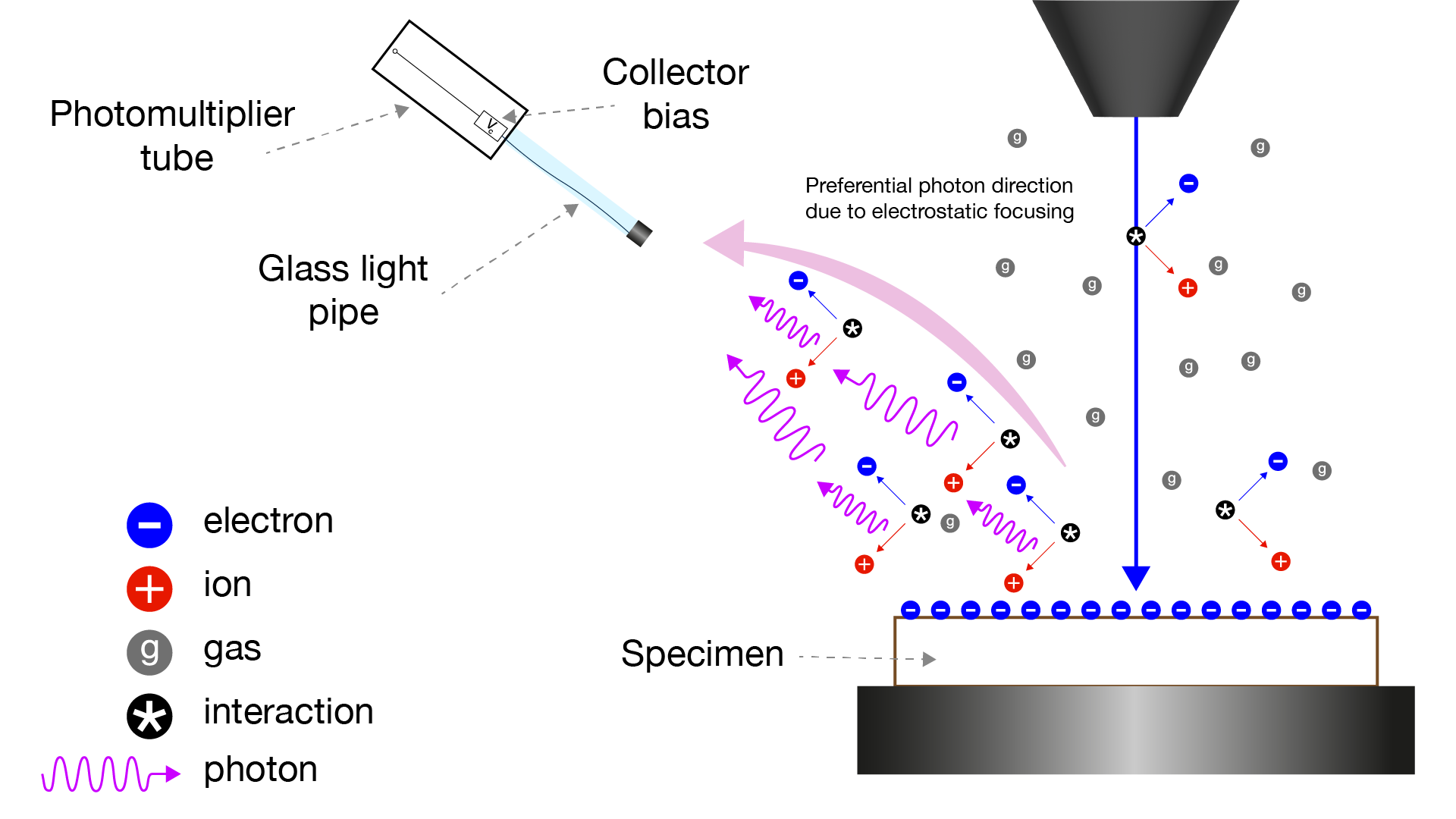 Variable Pressure on SEM Crossbeam 550 ‒ Center of MicroNanoTechnology ...