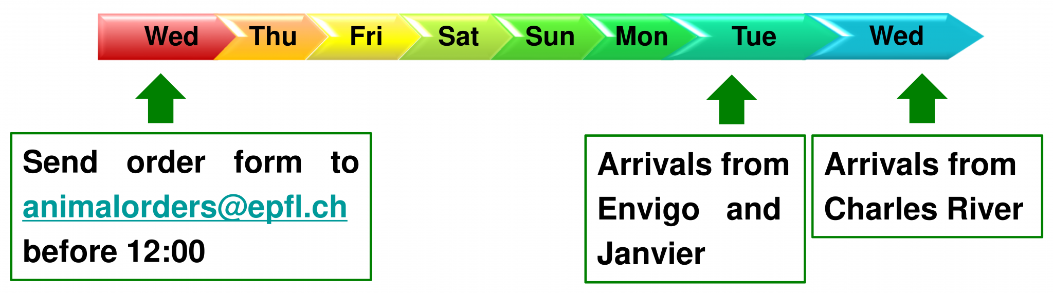 Rodent facilities ‒ CPG ‐ EPFL
