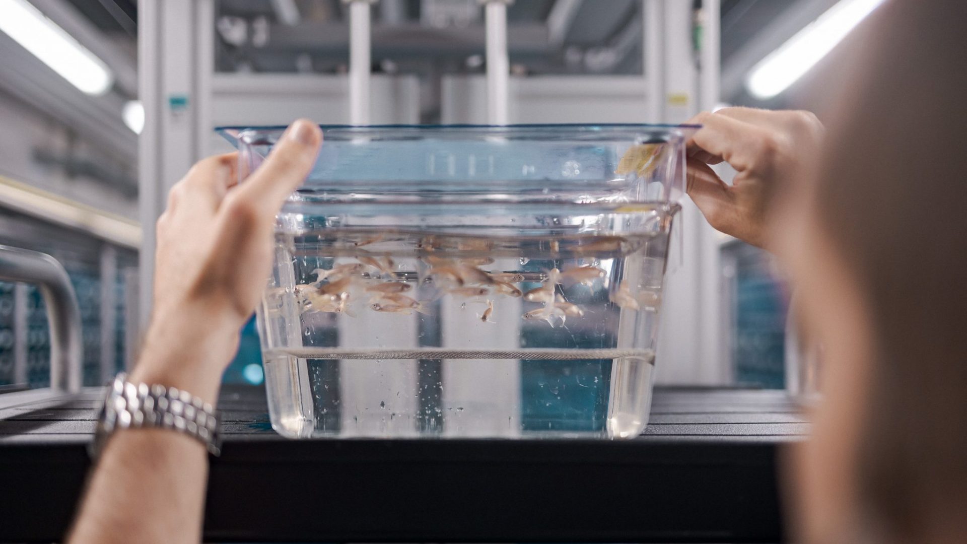 Fish facility ‒ CPG ‐ EPFL