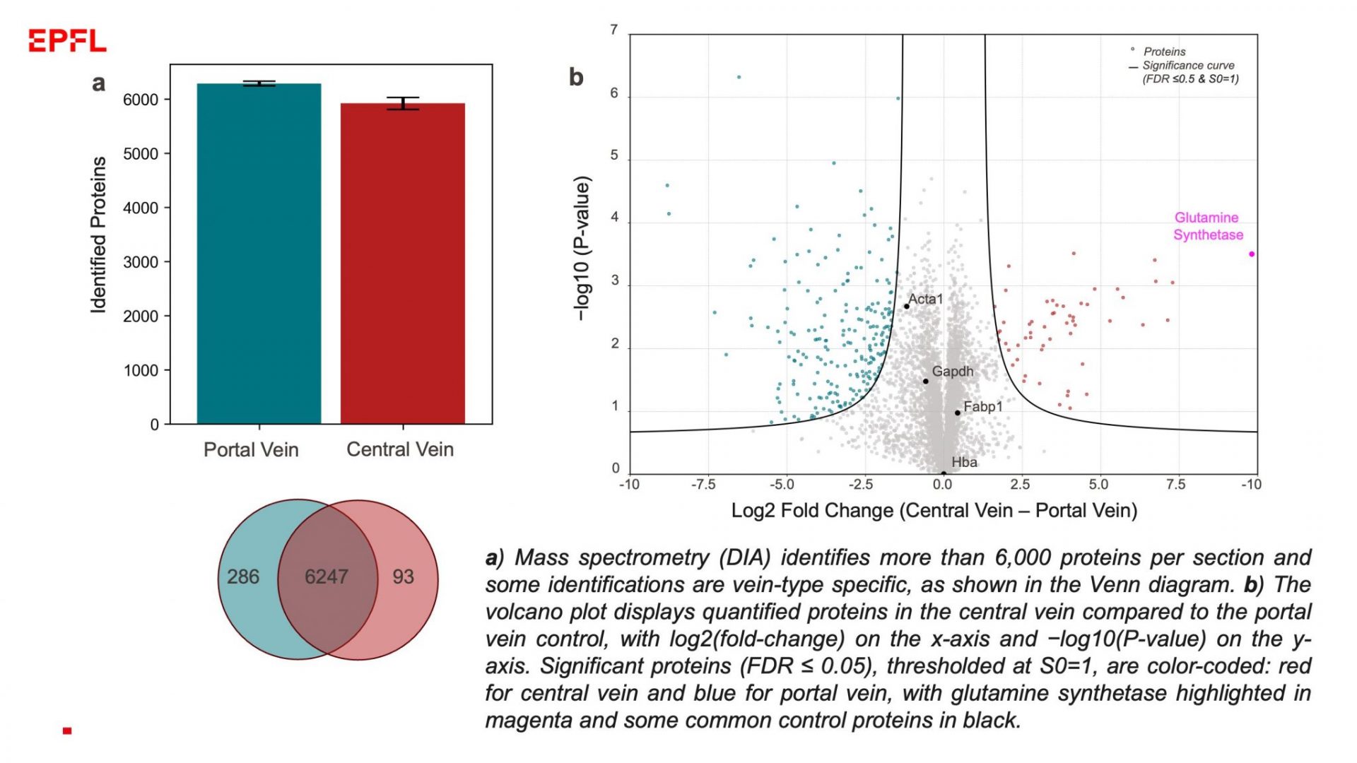 Spatial Proteomics ‒ PCF ‐ EPFL