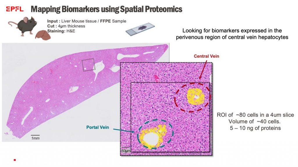 Spatial Proteomics ‒ PCF ‐ EPFL