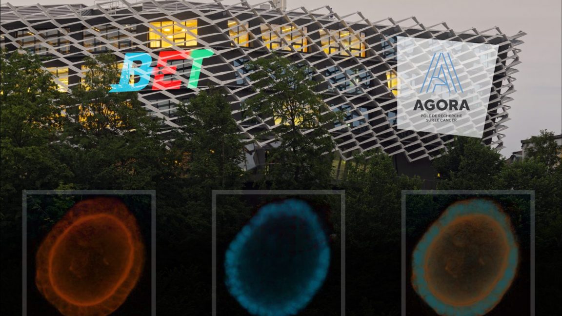 Bioengineering & Organoids platform ‐ EPFL