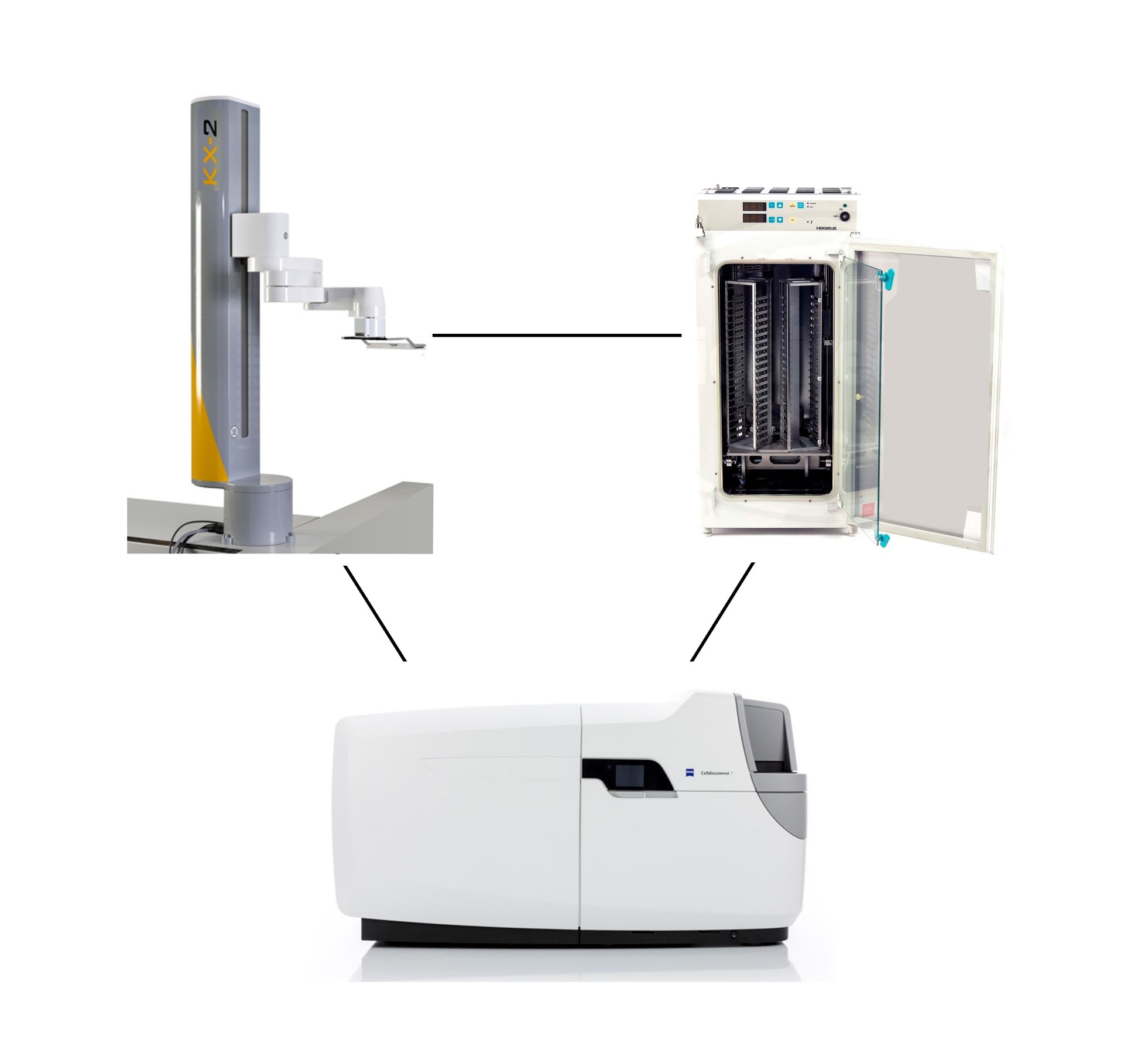 Automated imaging & incubation ‒ BET ‐ EPFL