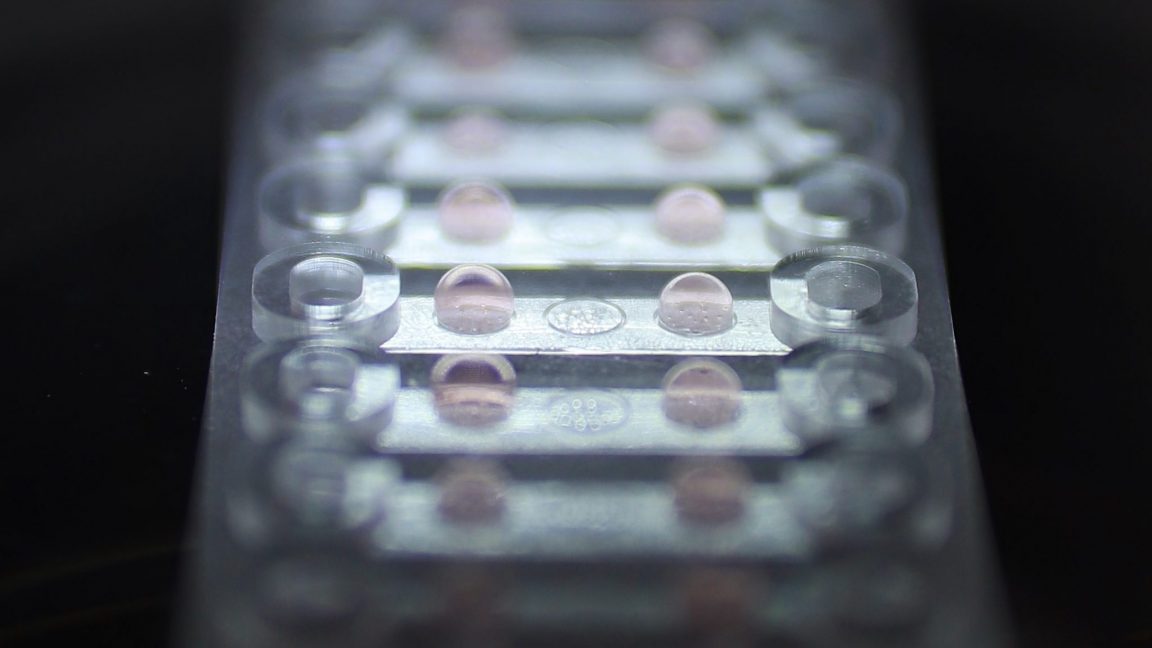 Bioengineering & Organoids platform ‐ EPFL