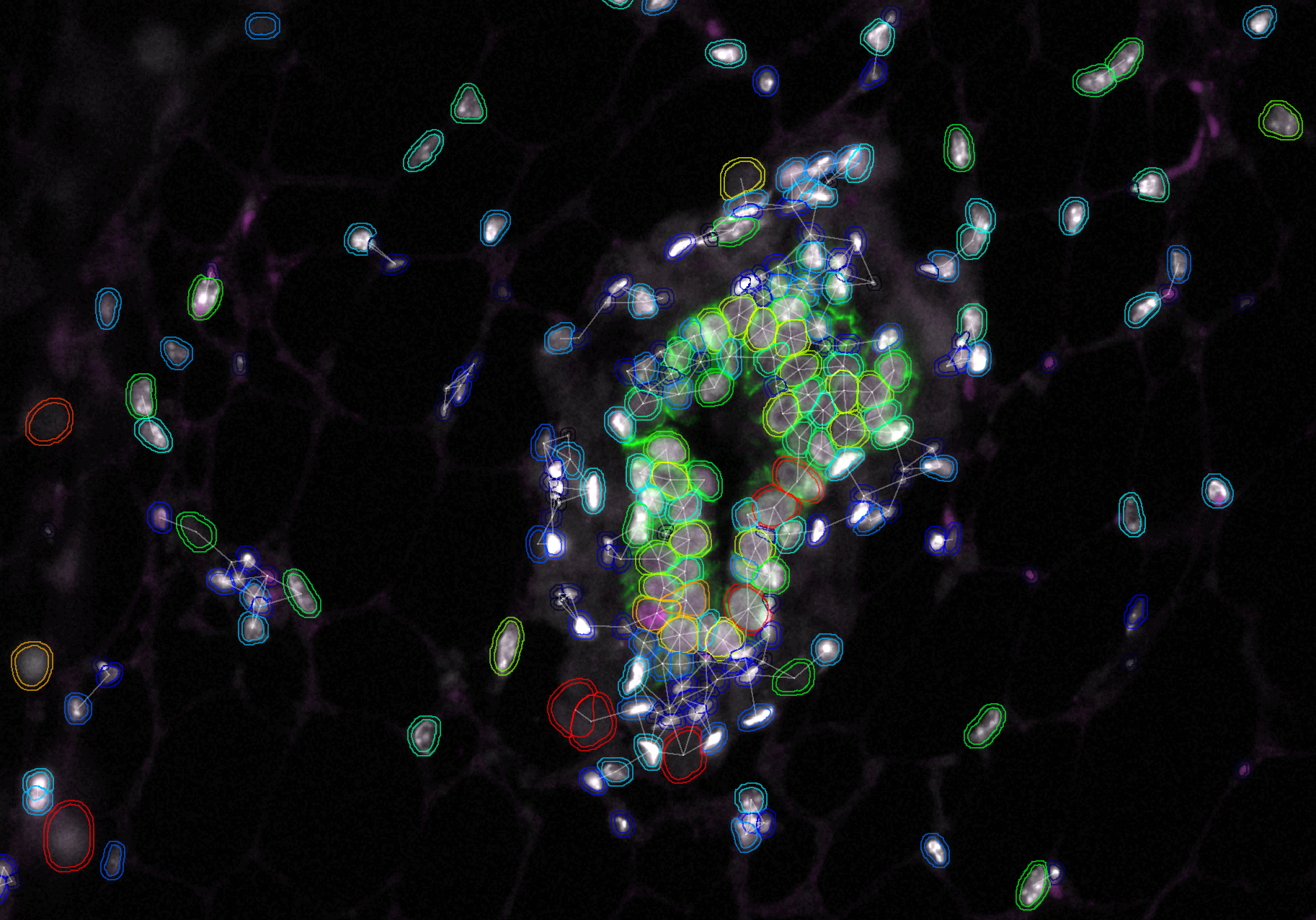Bio Imaging & Optics Core Facility ‐ EPFL
