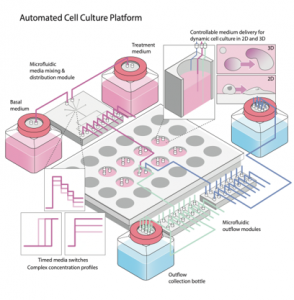 Automation and dynamic stimulation of 3D cell culture models in ...