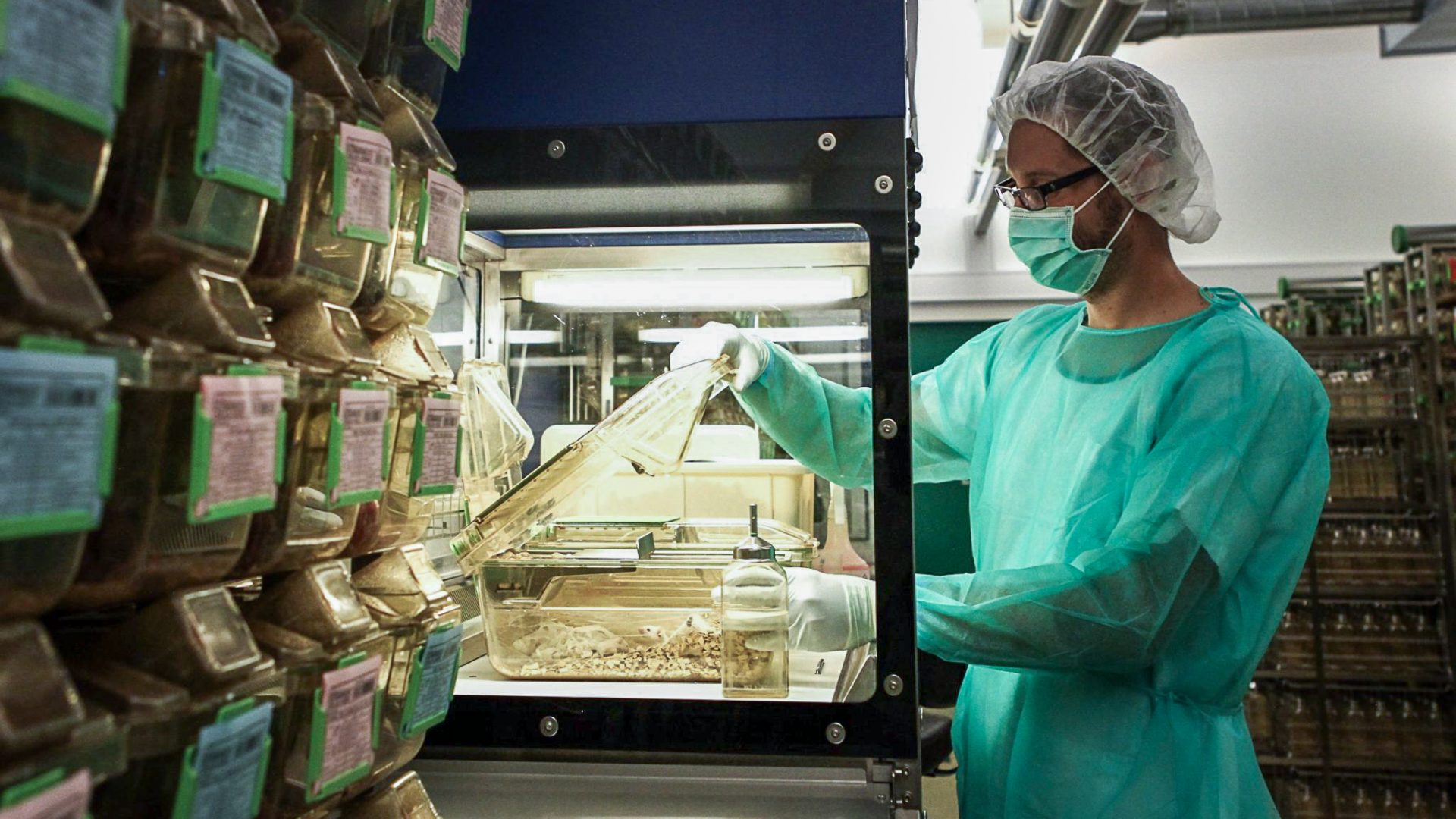 Research with animals ‒ Research ‐ EPFL