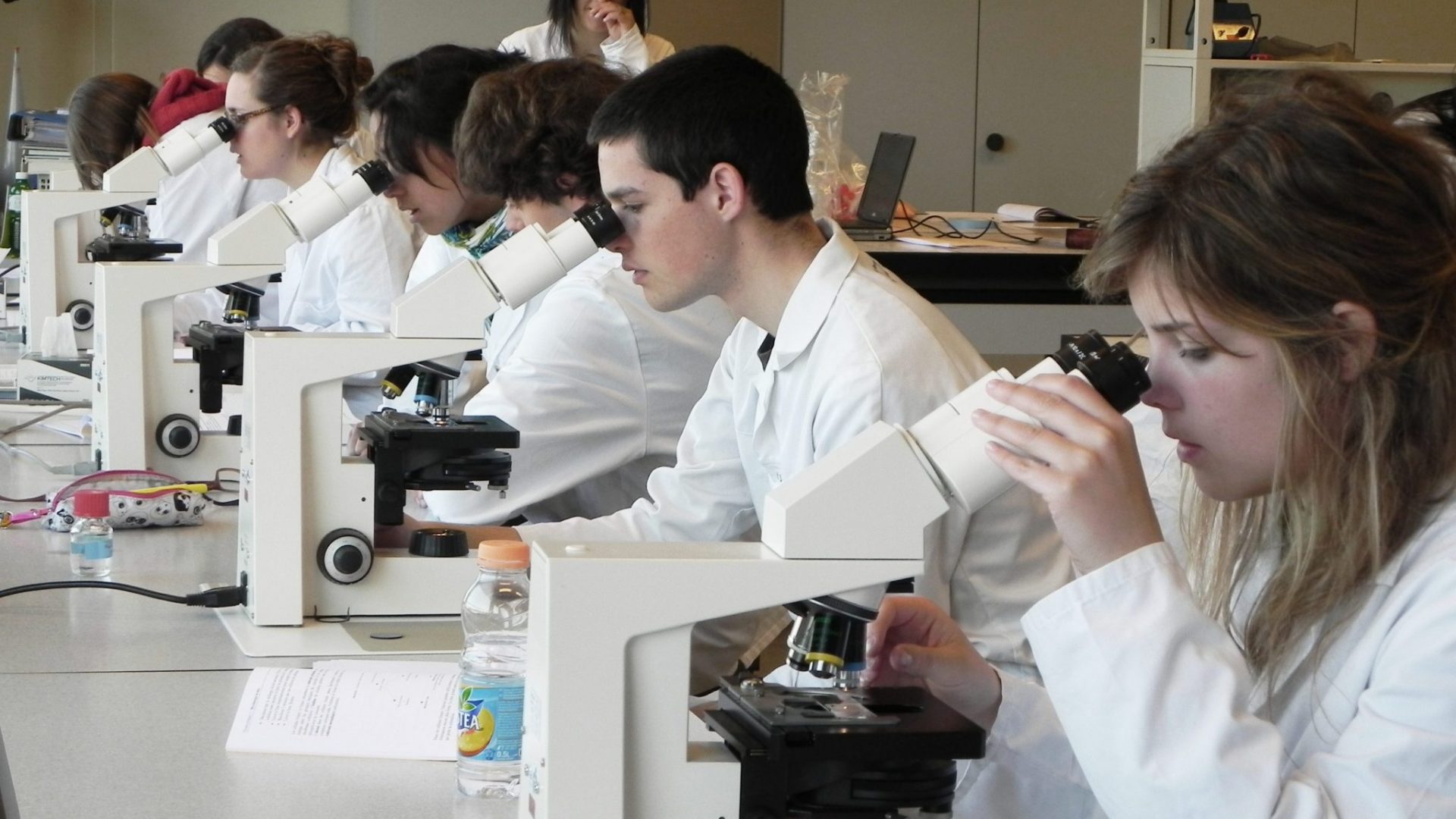 Bachelor EN ‒ ENAC SSIE ‐ EPFL