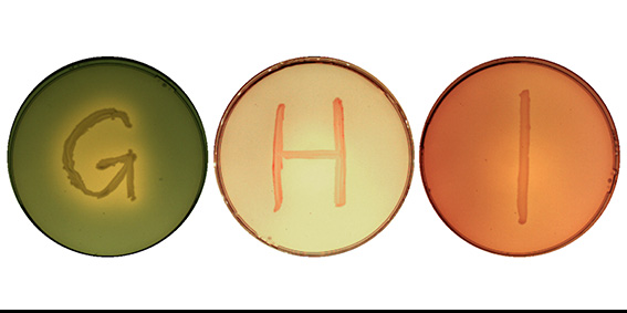 EPFL – École polytechnique fédérale de Lausanne