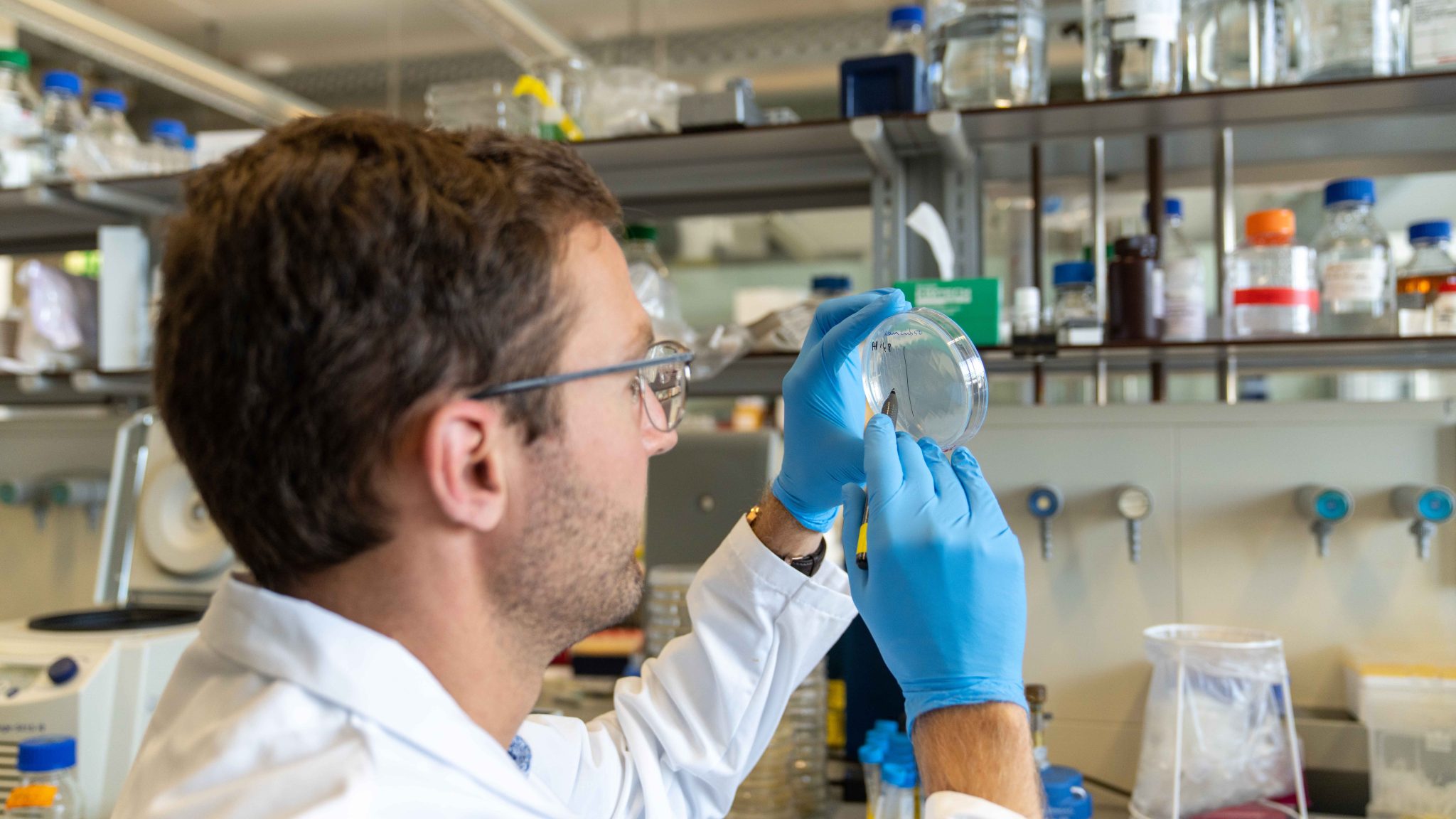 Specializations ‒ SV ‐ EPFL